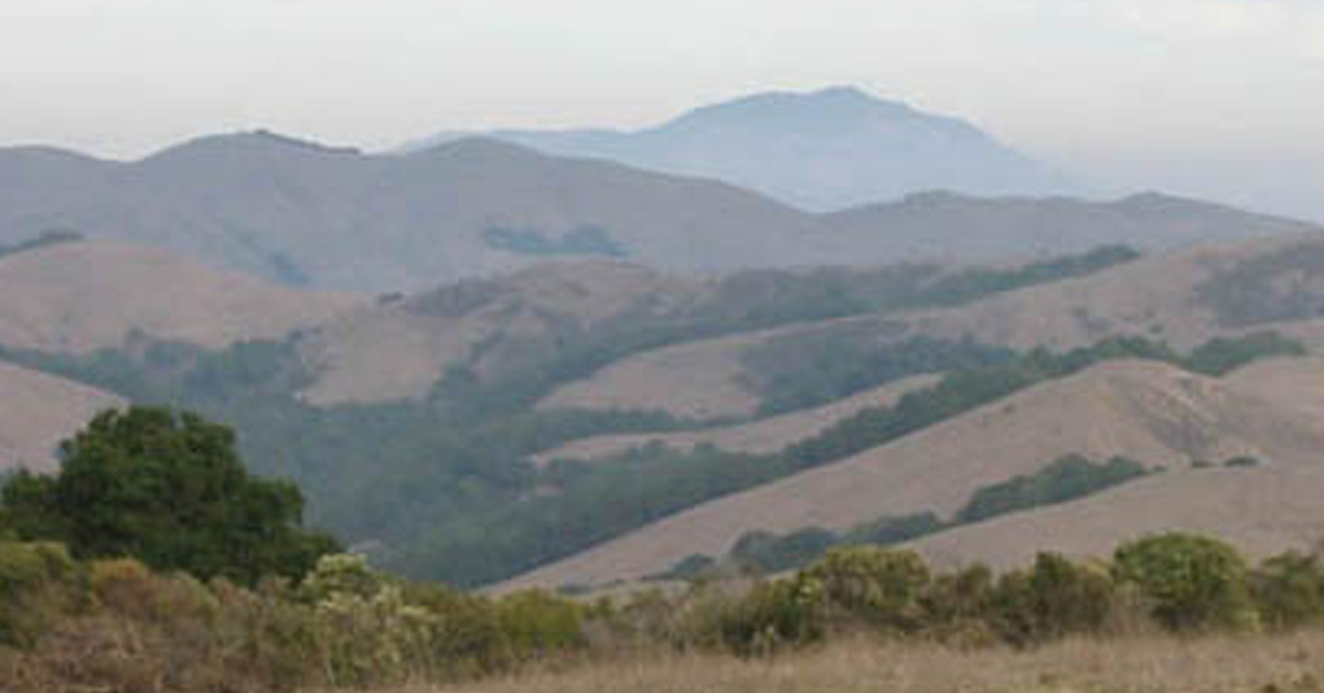 View from Dinosaur Peak Reveals Old Treasures | Madroño Landscape ...