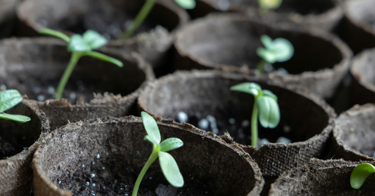 Earth Stewards get a look beyond the street | Madroño Landscape Design Studio