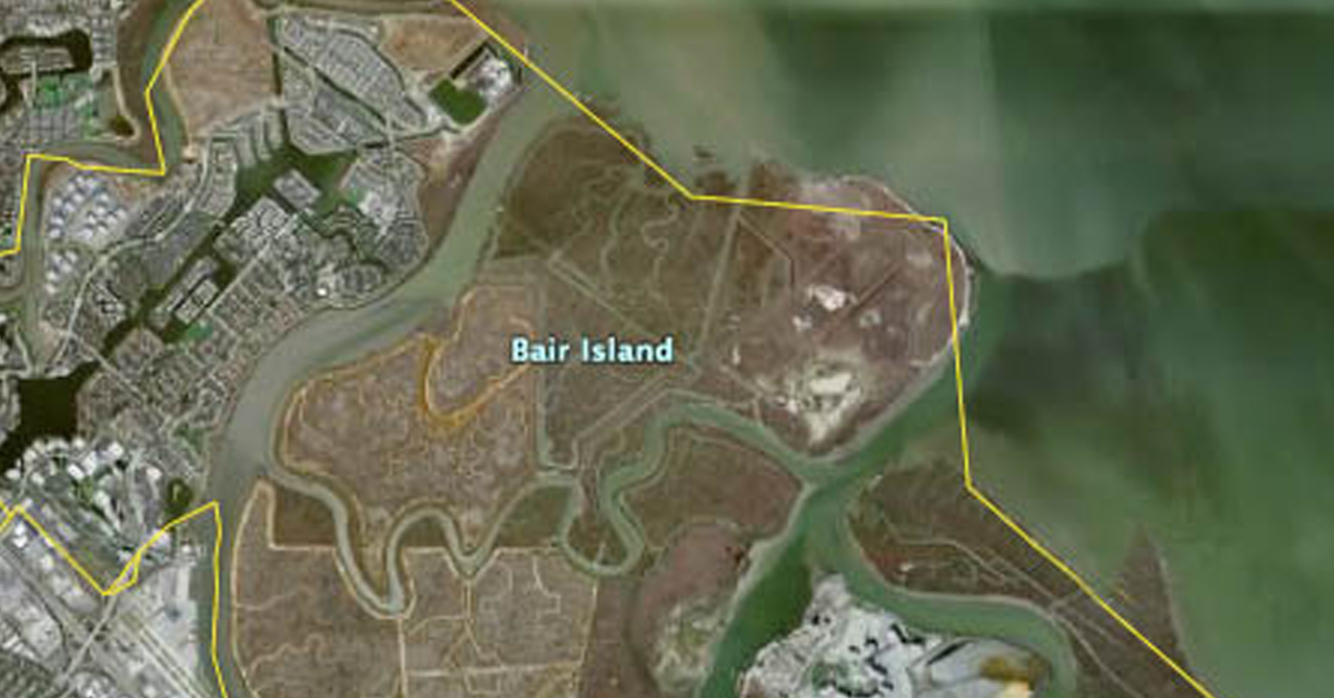 Born from the Salt: Lifecycles of Bair Island | Madroño Landscape ...