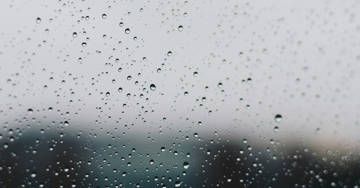California Passes Rainwater Catchment Act | Madroño Landscape Design Studio